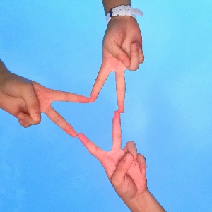 爱拆盲盒的柚子 