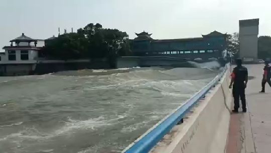 钱塘江大潮把人快冲走了