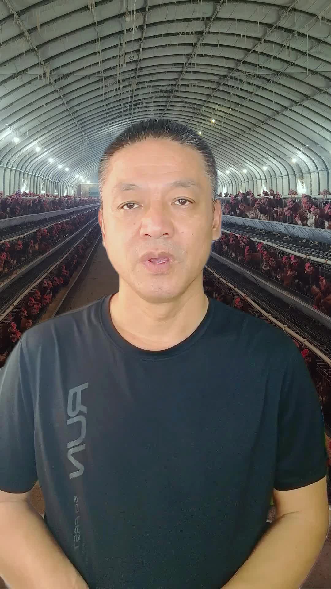 ...致维生素价格暴涨,蛋鸡养殖场必警惕的两个重点在结尾 #维生素涨价 ...