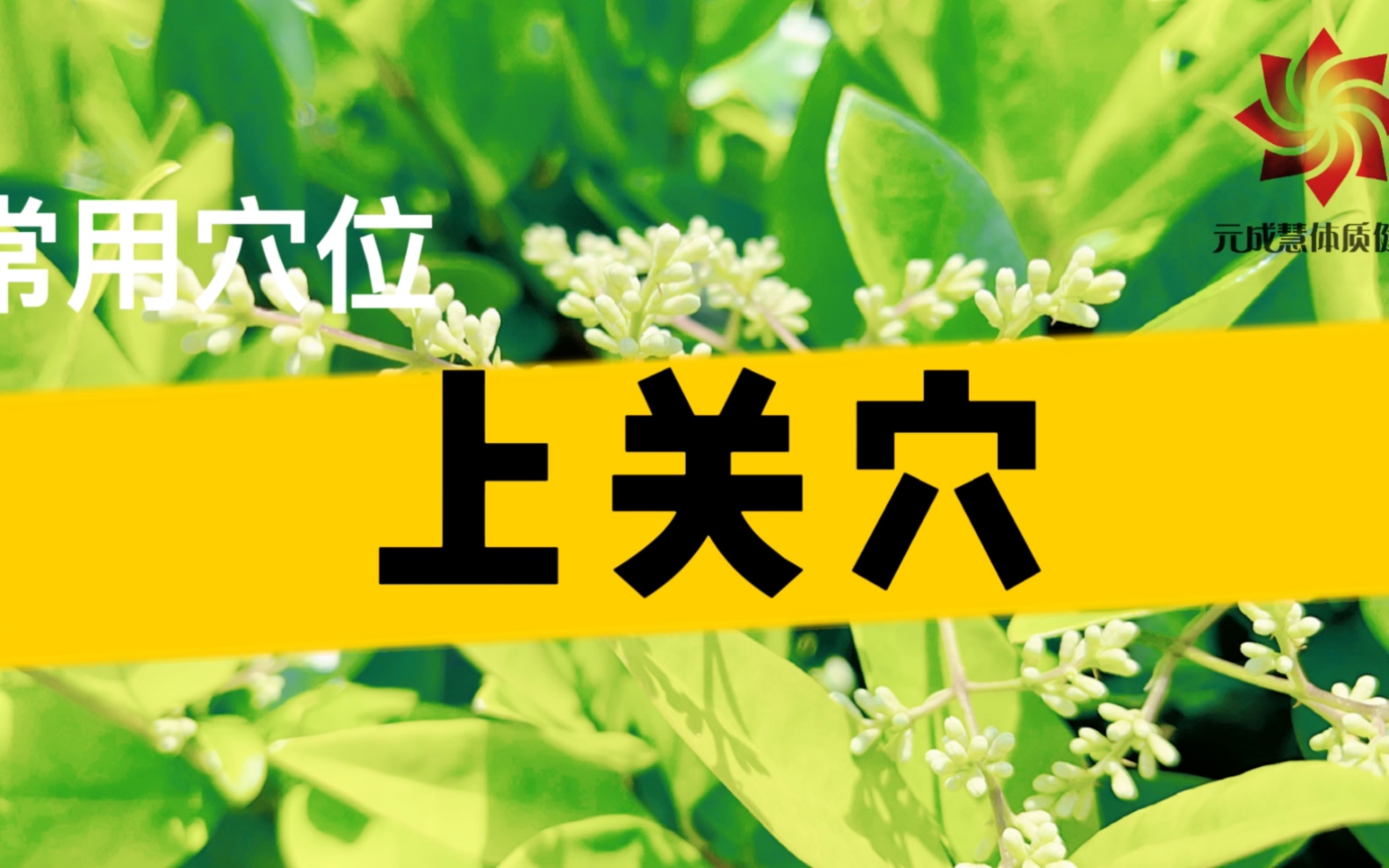 上关穴-胆经