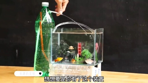 用几个饮料瓶就可以制作水循环系统。真是奇妙。脑洞大开