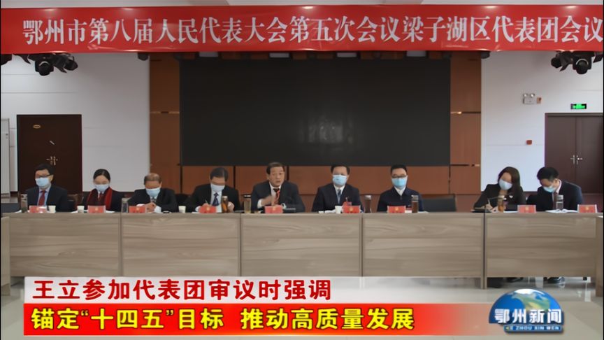 王立参加代表团审议 锚定“十四五”目标 推动高质量发展