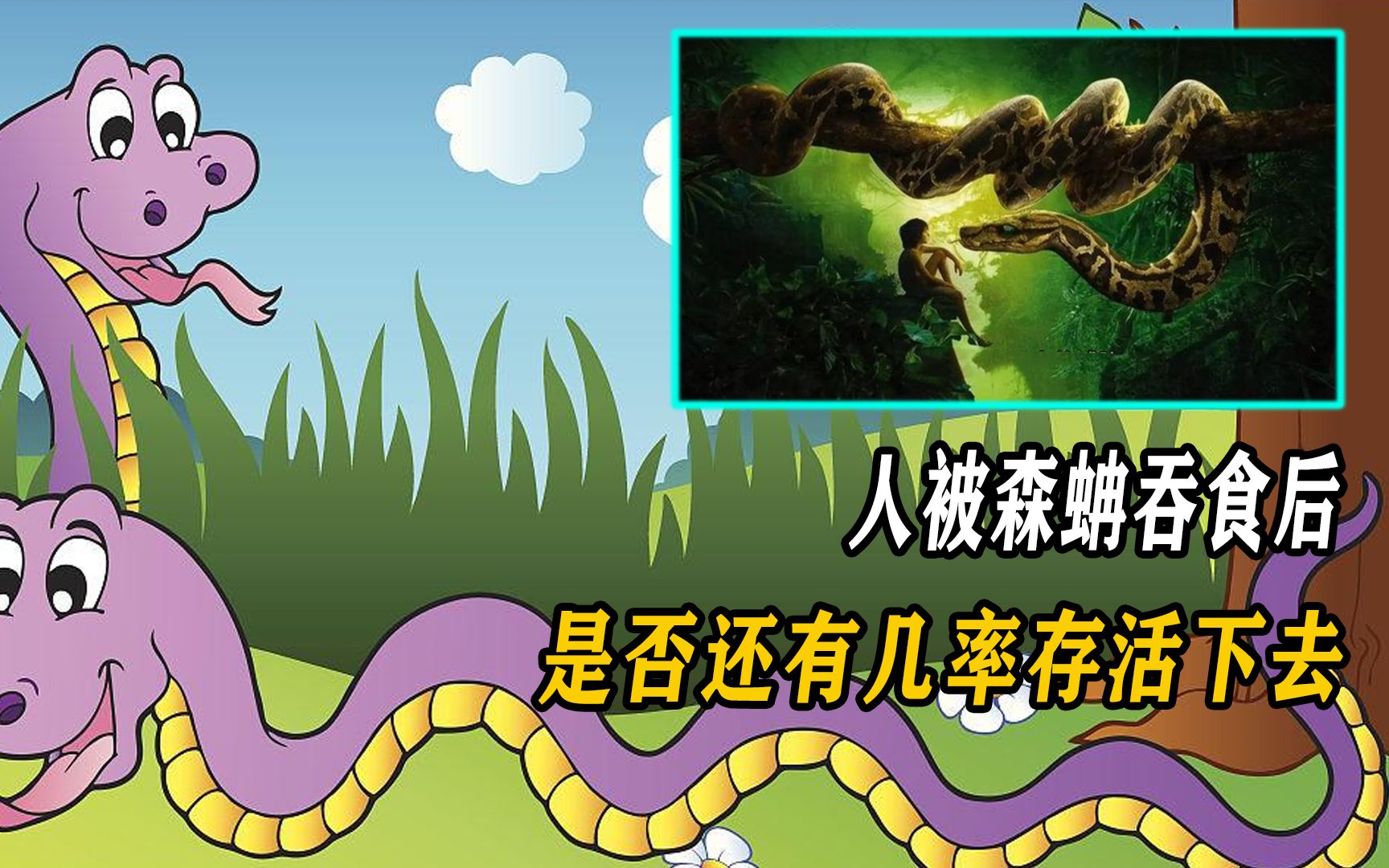人被森蚺吞食后,是否还有几率存活下去?美国科学家给你答案