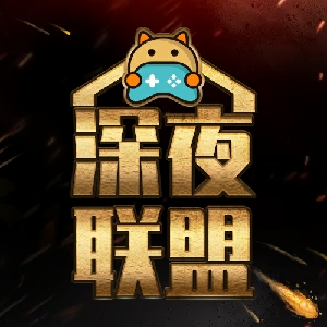 深夜联盟 