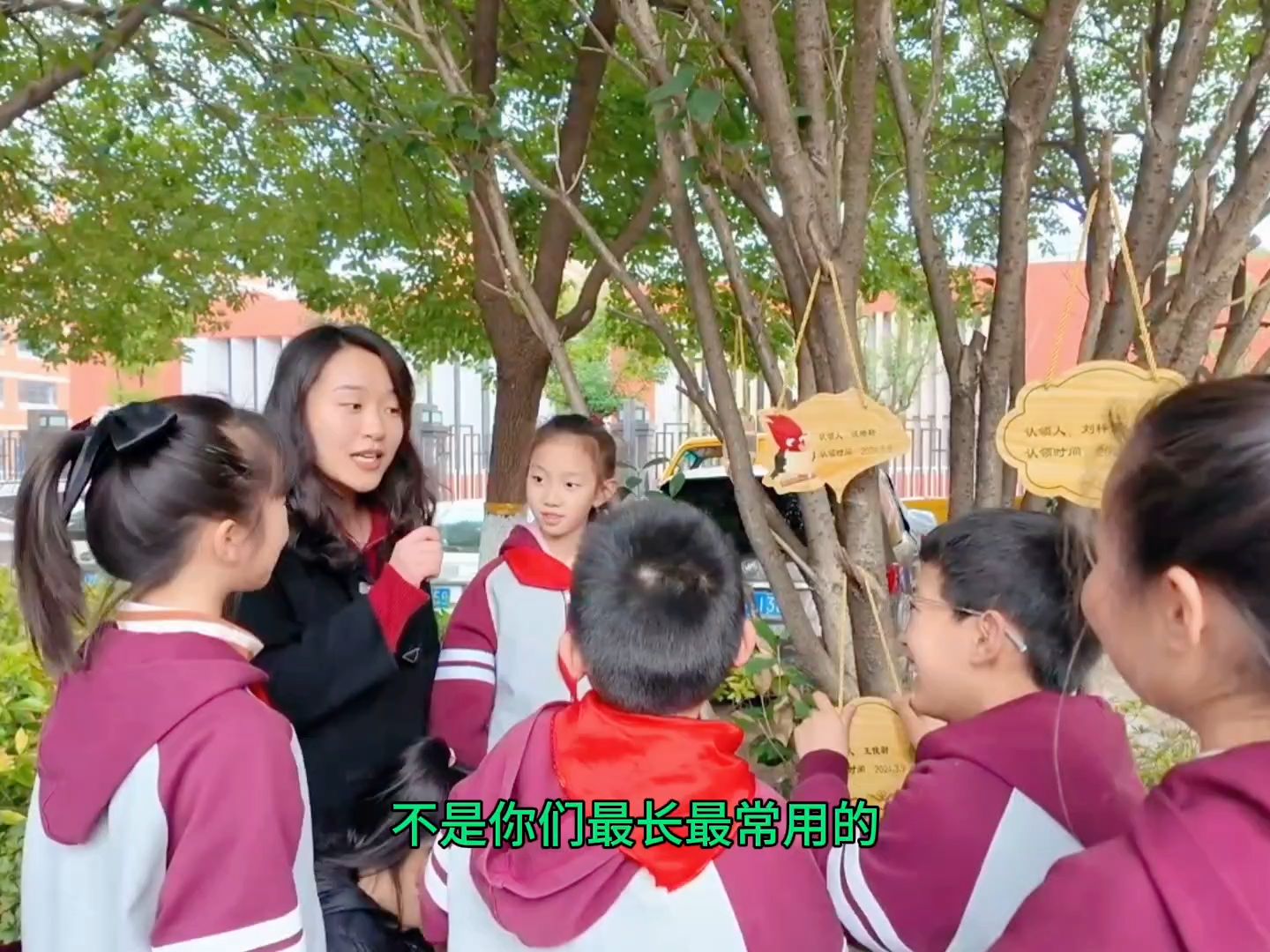 合肥市和平小学四(12)班“鼎力护苗 爱绿护绿”植树节主题活动