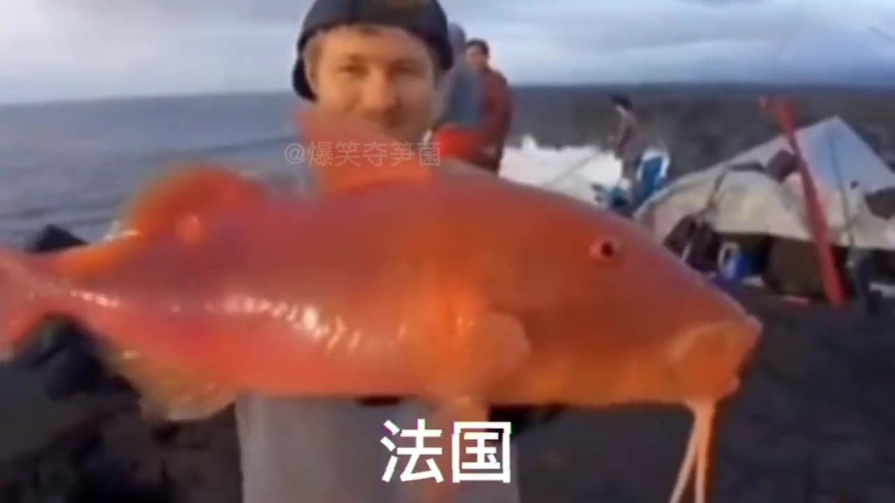 【搞笑视频】盘点俄罗斯vs不同国家的硬核行为,各种开挂操作,不愧是...