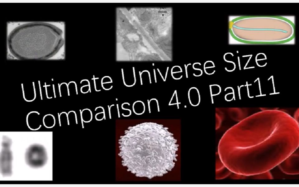 可能是史上最全的宇宙大小比较!Part11 :1μm-1cmm!