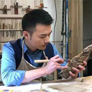 家装林老丝儿