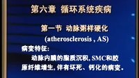 19 心血管系统疾病(1)