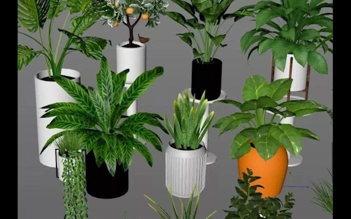 20个高质量植物盆栽三维模型合集含贴图C4D模型FBX格式模型集合