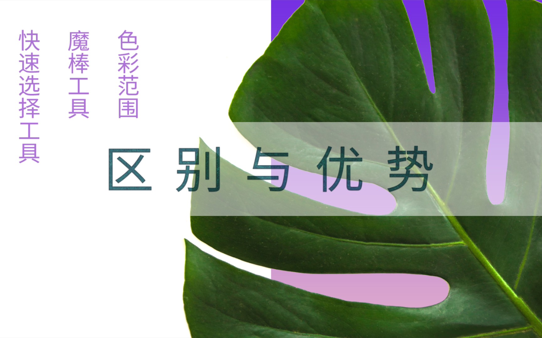 【Ps抠图】快速选择工具、魔棒和色彩范围抠图工具对抠纯色背景的...