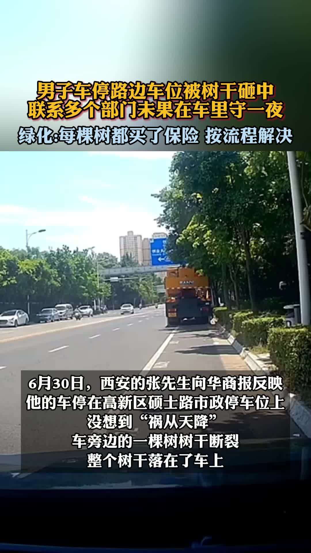 男子车停路边车位被树干砸中,联系多个部门未果在车里守一夜