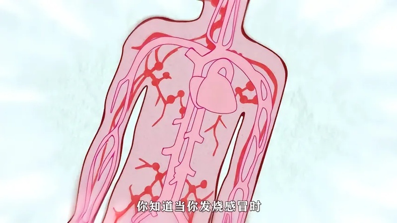感冒发烧体内细胞是如何战斗,免疫系统彻底杀疯,病毒赶紧爬