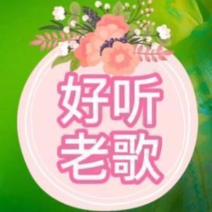 好听老歌