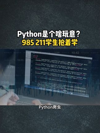 Python是个啥玩意? 985 211学生抢着学