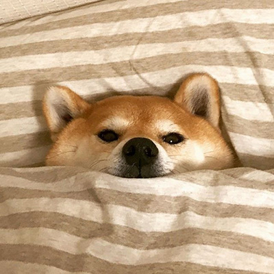 懒得起名177 
