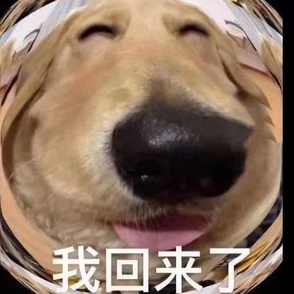 程序员小六子 