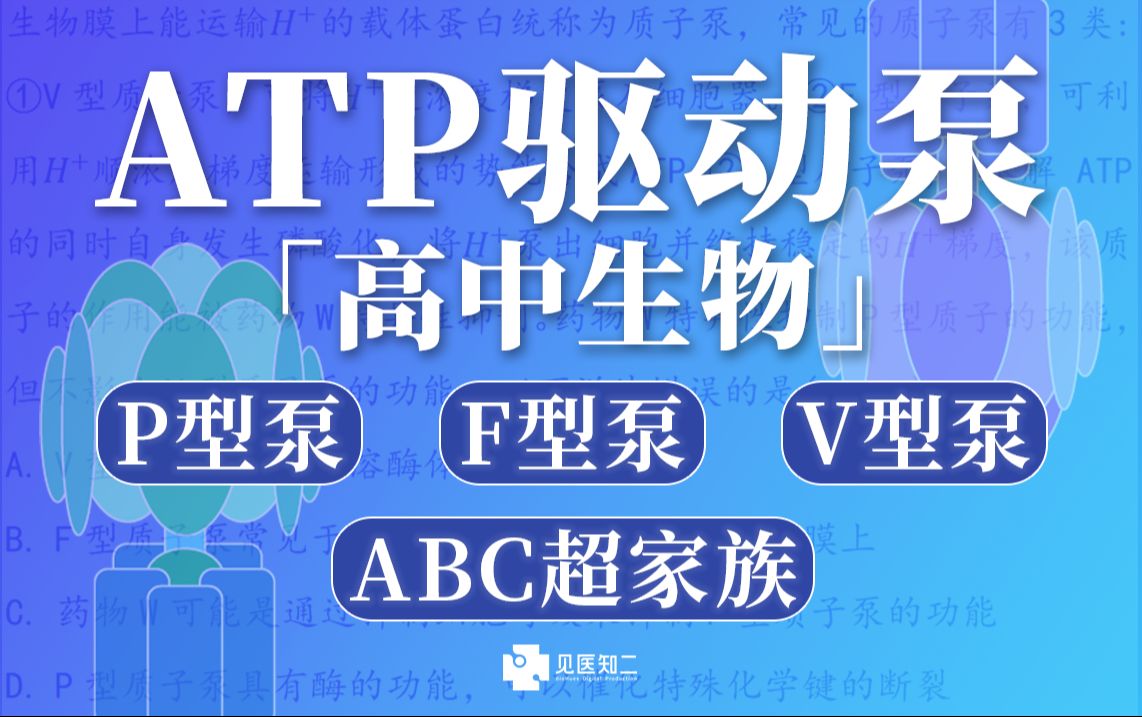 【高中生物跨膜进阶】ATP驱动泵