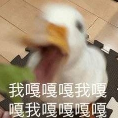 陈西门很斯文 