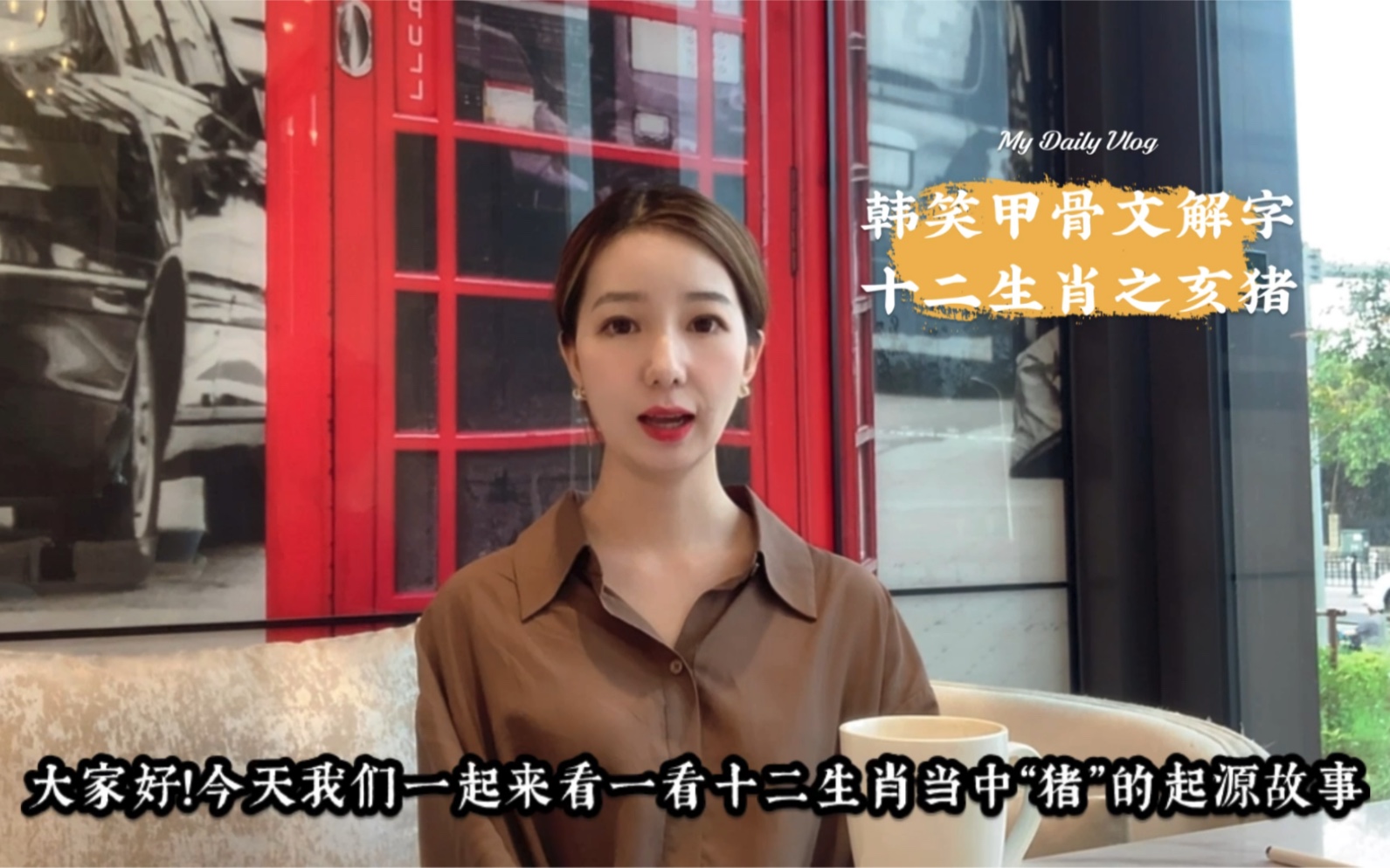 汉字的故事:十二生肖之亥猪