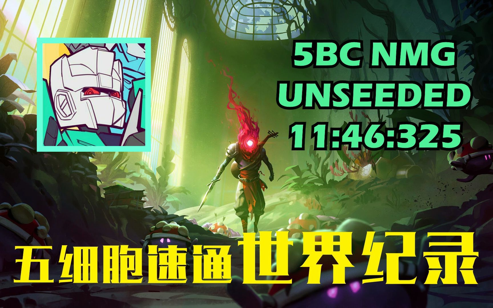 【世界纪录】五细胞无邪道随机种速通 永久计时11:46_哔哩哔哩bilibili...