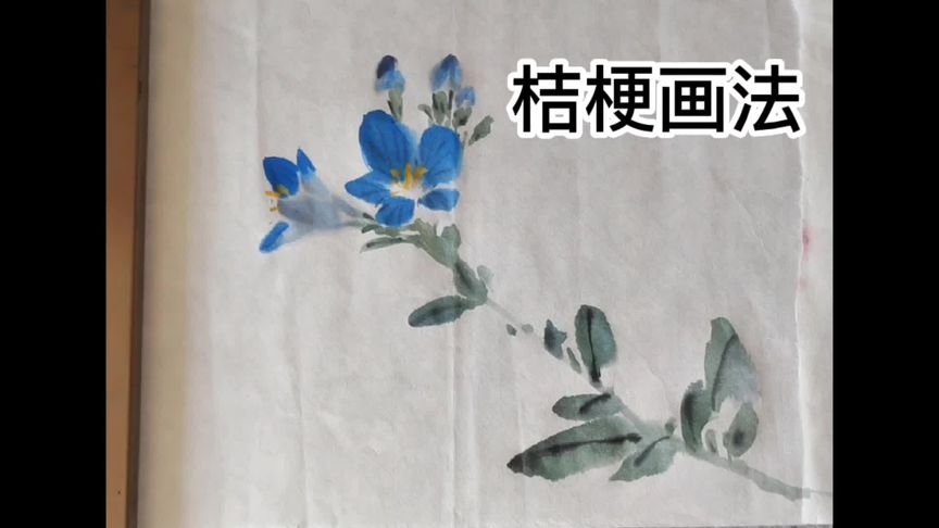 桔梗花画法#传统文化 #佩伦写意花鸟 #原创 #一起学画画