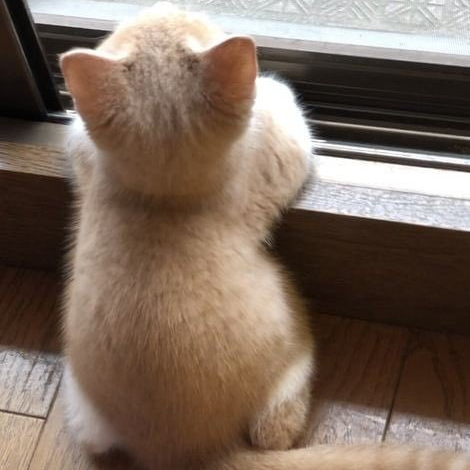 青儿爱分享 