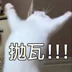 每只猫都有魔法 
