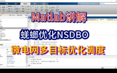 基于非支配排序的蜣螂优化算法NSDBO求解微电网多目标优化调度研究