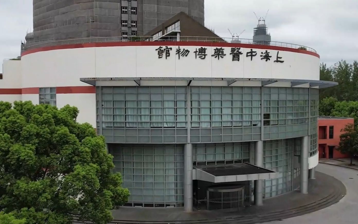 走进上海中医药博物馆——千年回响