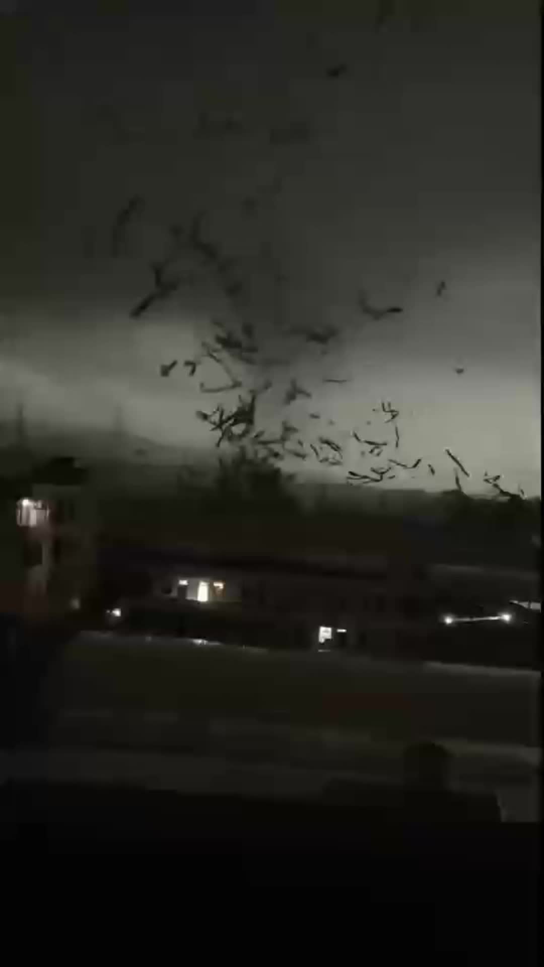 这广州的冰雹下的有点恐怖啊、在广州的朋友一定要注意安全啊。#...