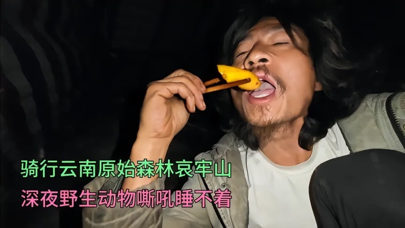 骑行云南普洱原始森林哀牢山,深夜野兽嘶吼睡不着,腊肉一锅煮爽