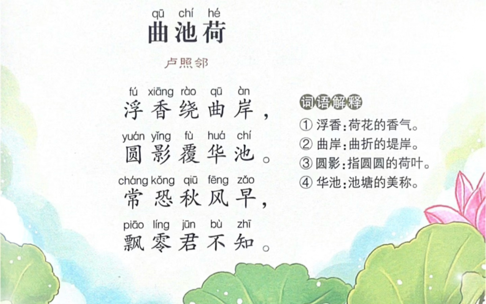 夏日荷花,幼儿国学诵读《曲池荷》浮香绕曲岸,圆影覆华池
