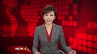 2019全国两会:中国梦·加速度 两会百科 全国政协十三届二次会议即将...