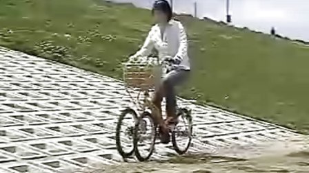 同步避震三轮自行车