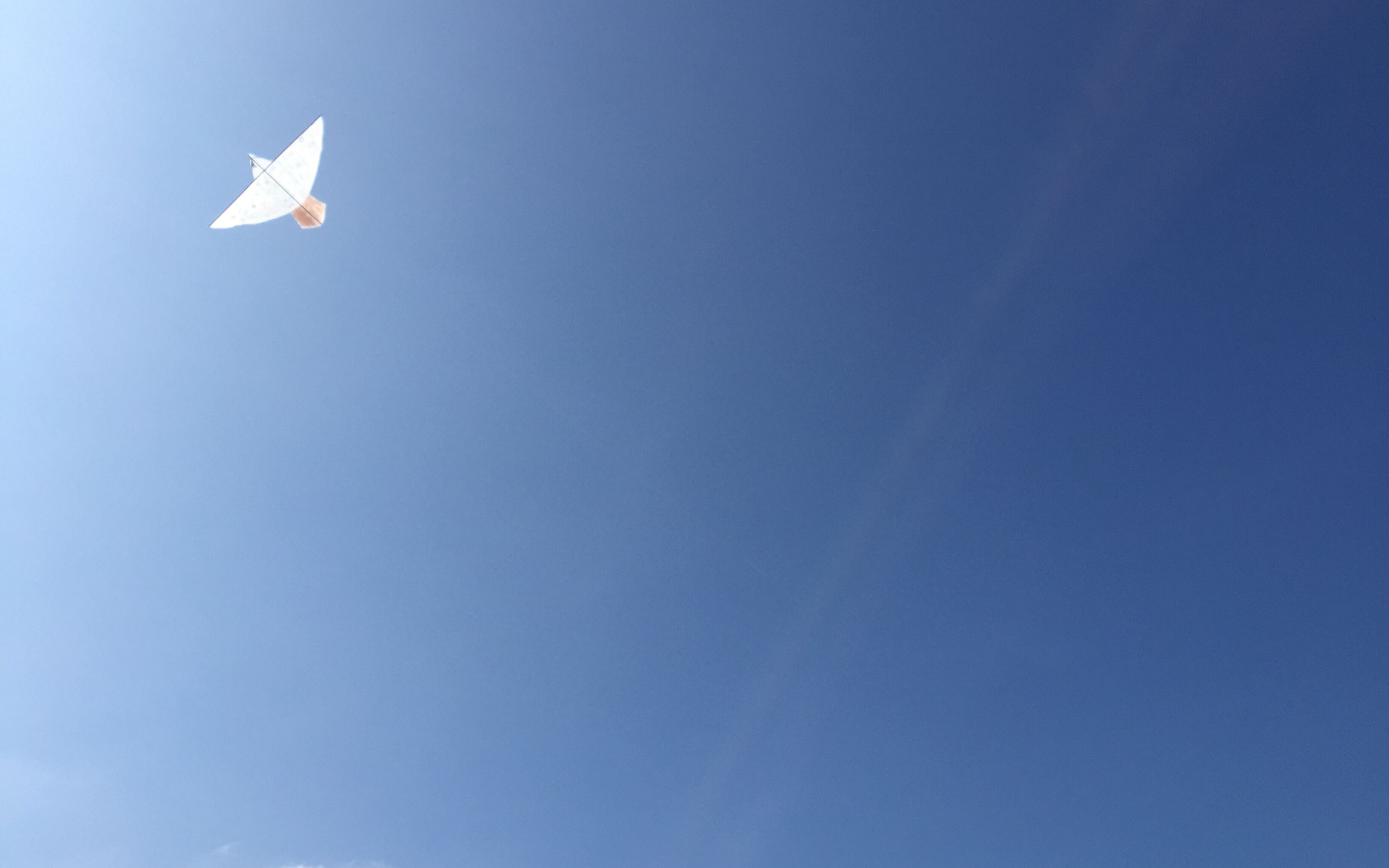 【广州民航职业技术学院】【航空港管理学院】【主题班会】初心不忘...