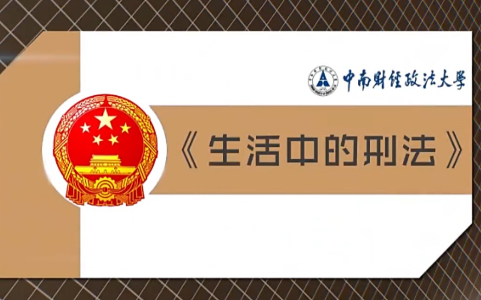 【中南财经政法大学】生活中的刑法【全36讲】