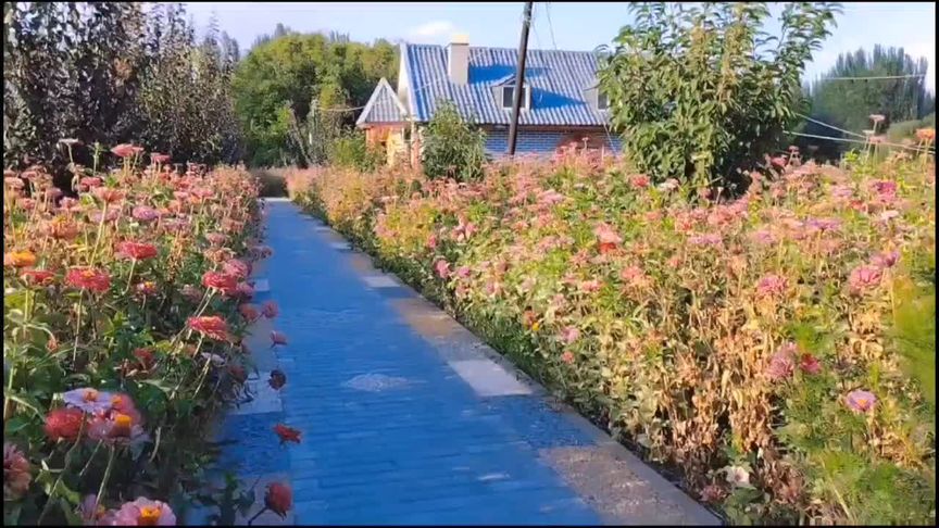 再好的酒店宣传文案,不如您来住一晚。龙泉大酒店