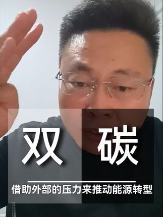 双碳就是借助外部的压力来推动我们的能源转型 #新能源 #双碳 #马哥能源频道