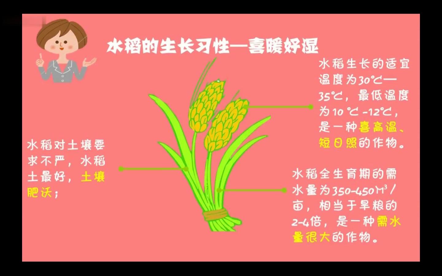 农业地域类型、种植业、季风水田农业、水稻、分布、生长习性、劳动...