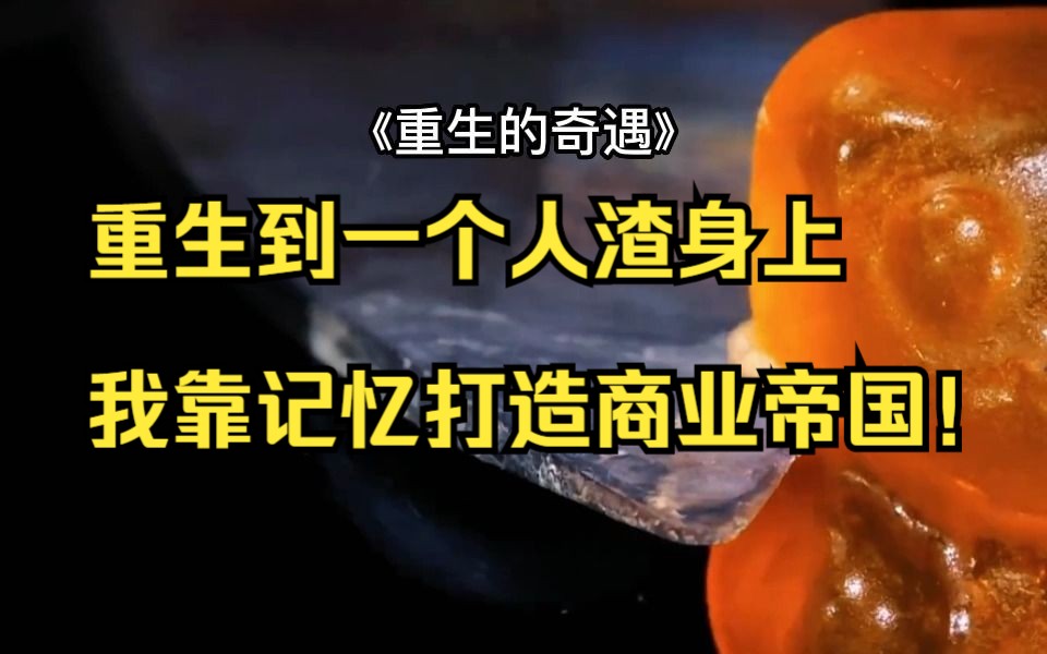 重生到一个人渣身上,我靠记忆打造商业帝国!《重生的奇遇》