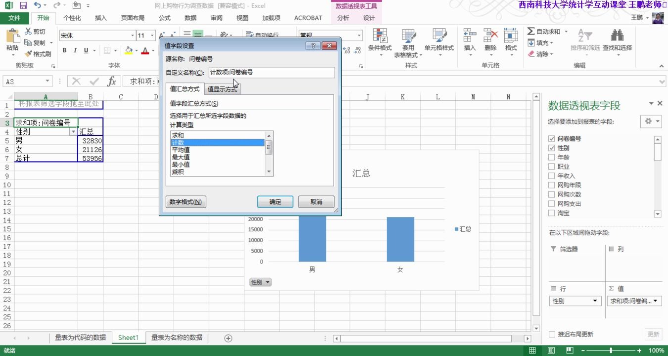 Excel数据透视表和透视图