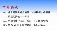 什么是面向对象编程(雨天教VB)