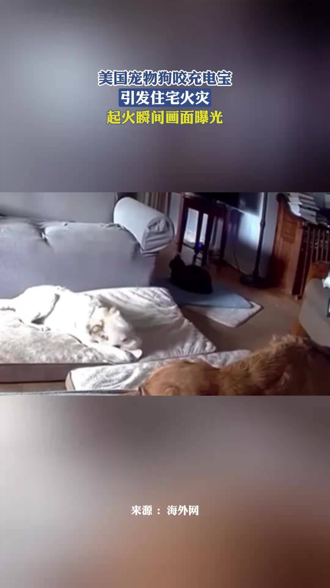 美国宠物狗咬充电宝,引发住宅火灾,起火瞬间画面曝光。