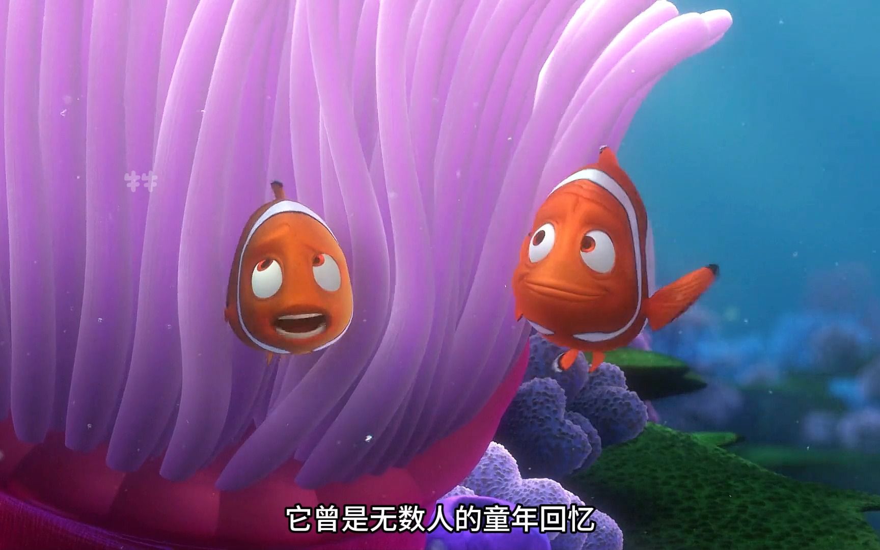 动画电影解说《海底总动员》第一集