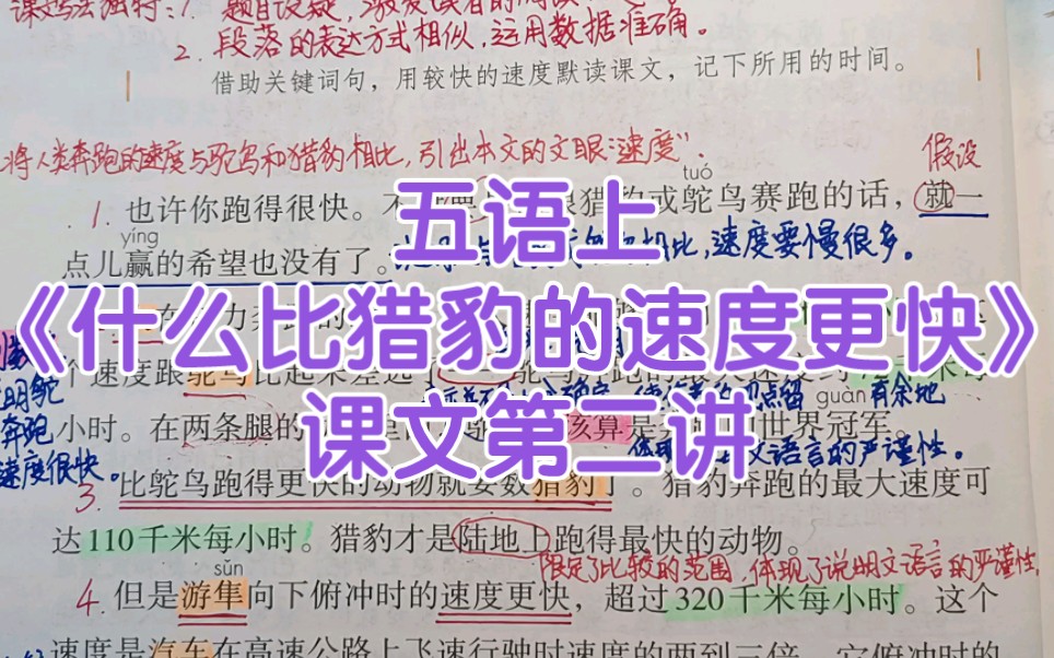 五语上:7《什么比猎豹的速度更快》 课文第二讲