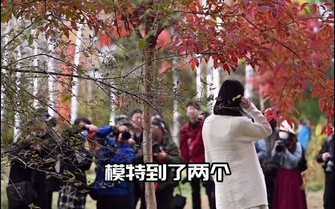 【尼康Z62+Z50 1.8S】几十个摄影师同时拍一个模特