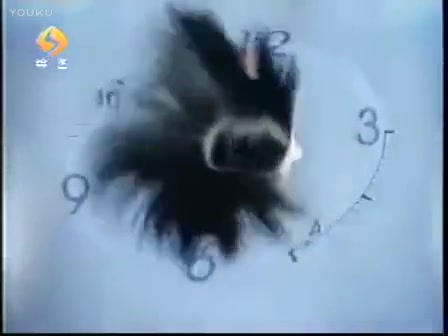 【中国大陆广告】海飞丝柠檬草控油洗发水2003年广告