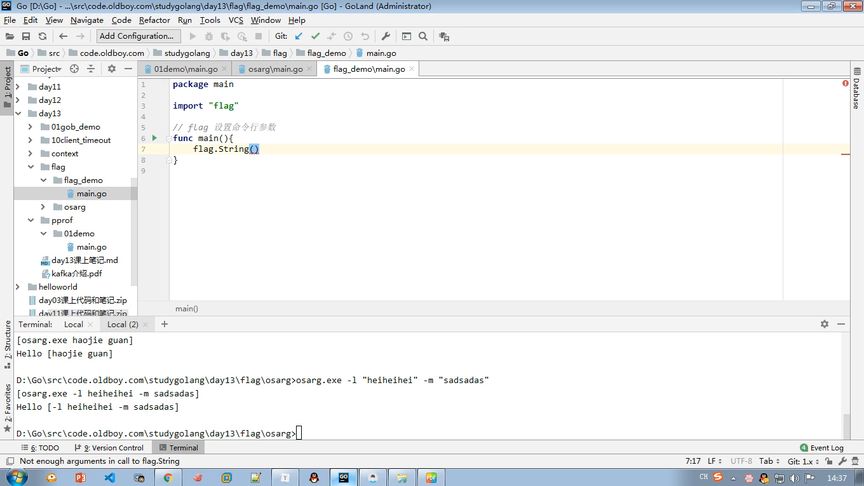 DevOps Go语言开发教程: Day13 - 08. 标准库flag使用