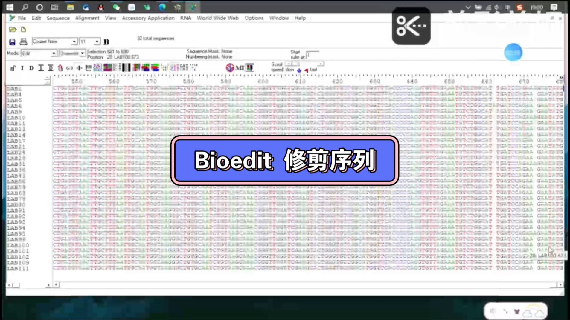 如何利用 Bioedit 修剪序列及 Mega 系统建树(感谢课题组师妹提供原创...